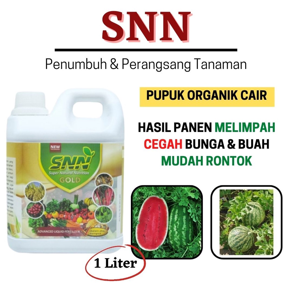 Jual Pupuk Organik Pelebat Booster Semangka Perangsang Buah Semangka, Obat Pembesar Semangka ...