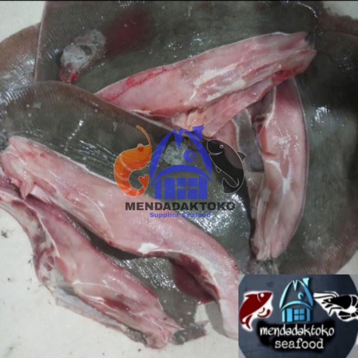 Jual daging ikan pari potong segar | seafood | ikan laut segar | Shopee ...