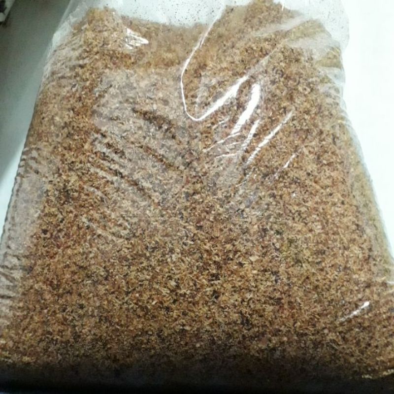 Jual kelapa gongseng | Shopee Indonesia