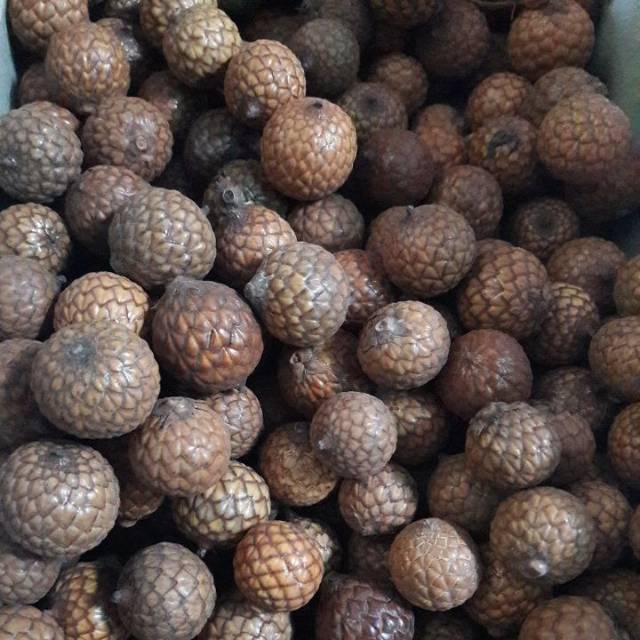 Jual BIJI ROTAN BAHAN RUSTIK | Shopee Indonesia