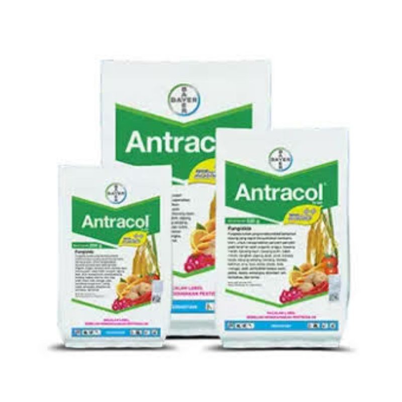 Jual Antracol fungisida 70WP 250g | Shopee Indonesia