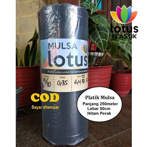 Jual mulsa plastik mulsa hitam perak 1 rol roll Lebar 80 cm Panjang 250 ...
