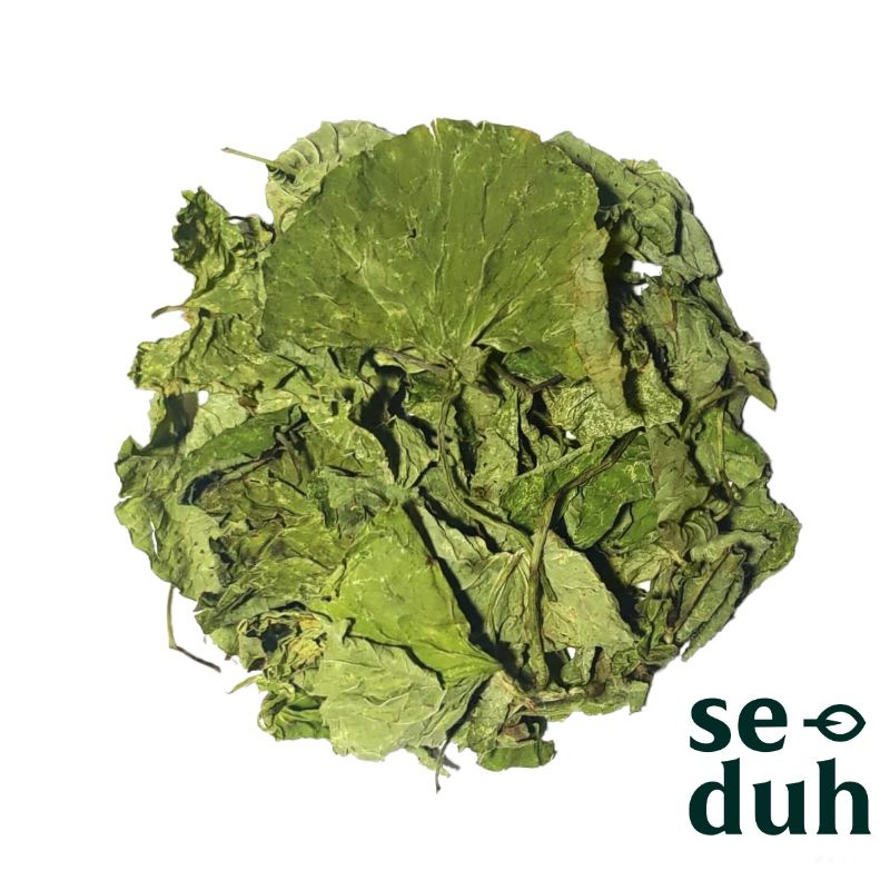 Jual Daun Pegagan Kering / Dried Gotu Kola / Centella asiatica 60 gram ...