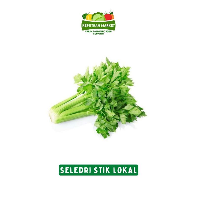Jual Celery / Seledri Stick 500 Gram / Produk Langka | Shopee Indonesia