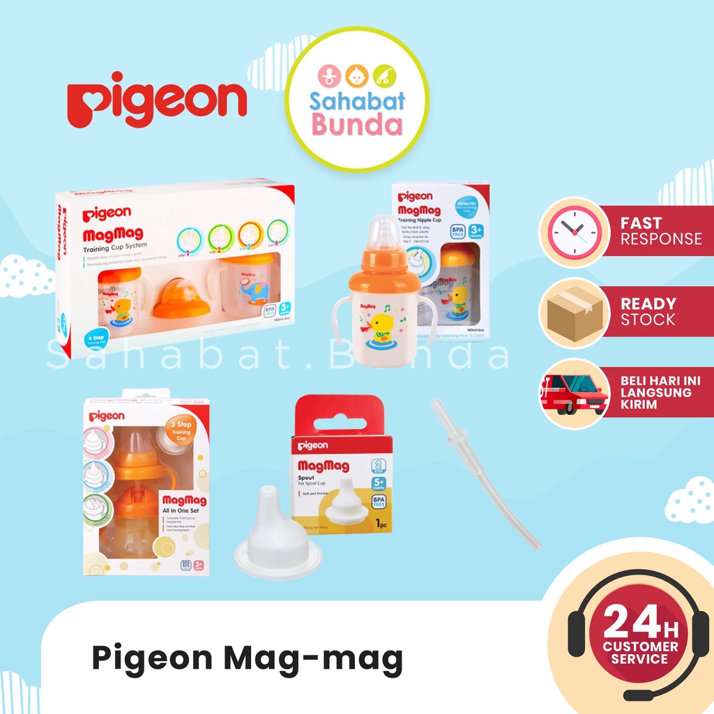 Jual PIGEON Mag Mag Training Cup Gelas Minum Anak Baby Set All in One ...