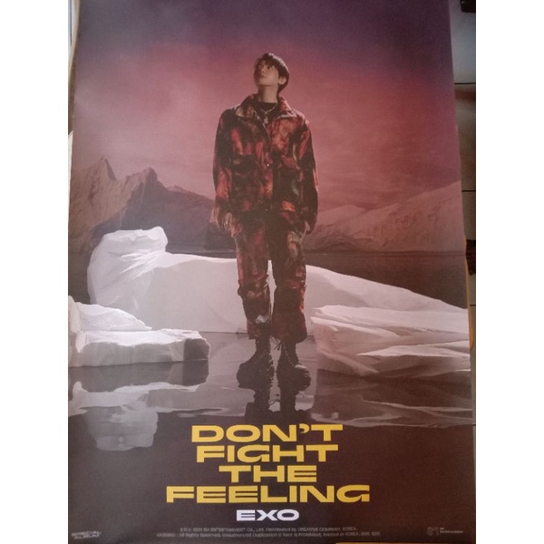 Jual EXO BAEKHYUN DON'T FIGHT THE FEELING DFTF POSTER OFFICIAL (INCLUDE TUBE) | Shopee Indonesia
