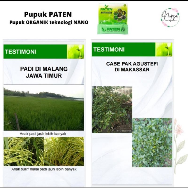 Jual Pupuk paten imun teknologi nano paket hemat 12 pupuk dan 12 imun ...