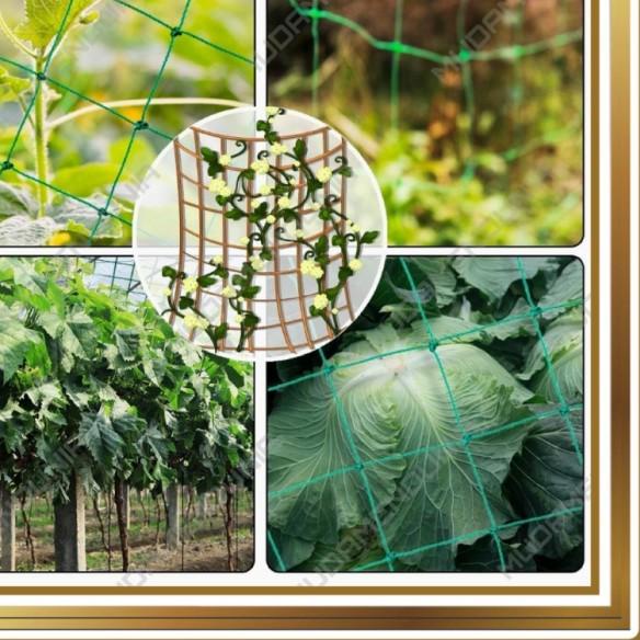 Jual Jaring Tanaman Buah Anggur Sayuran Anti UV/Jaring Tanaman Rambat ...