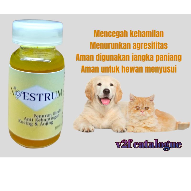 Jual KB kucing anjing - Noestrum 10 ml | Shopee Indonesia