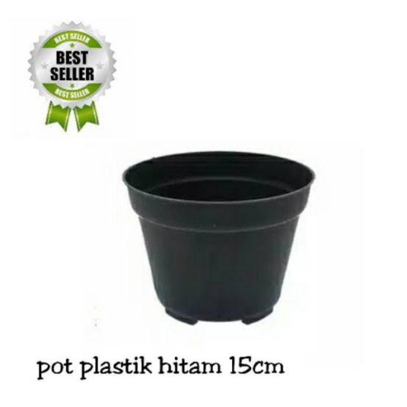 Jual Pot Plastik Tanaman hias Ukuran 15 cm | Shopee Indonesia