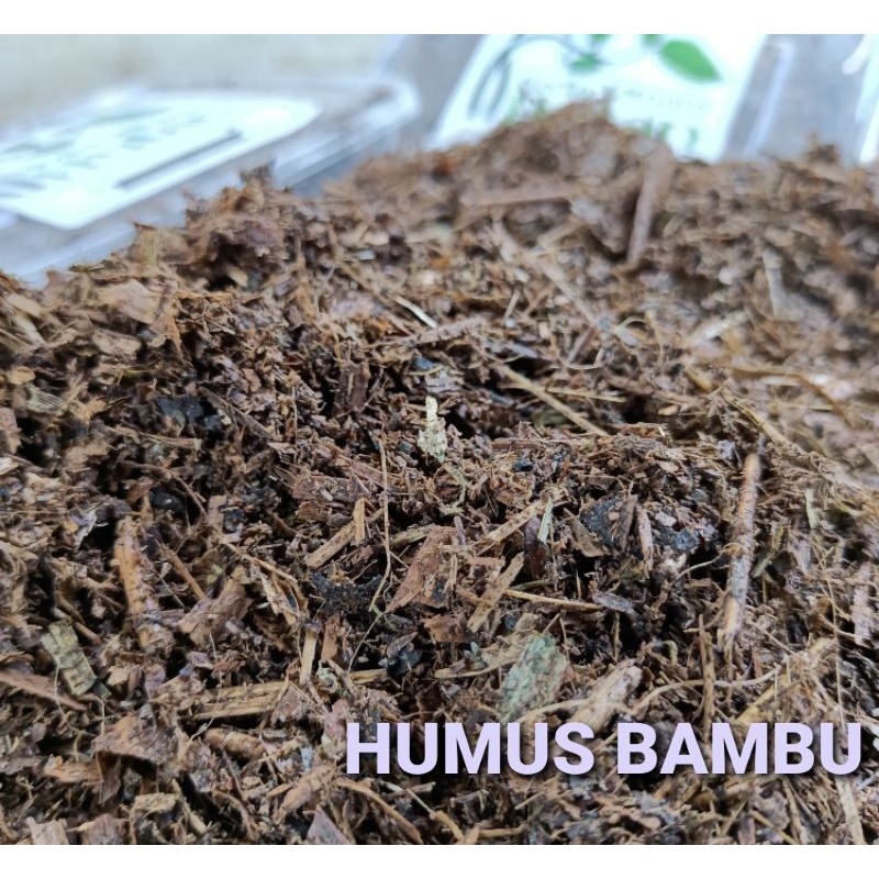Jual Humus Daun Bambu/Humus Bambu Media Penggemuk Tanaman 1000gr ...