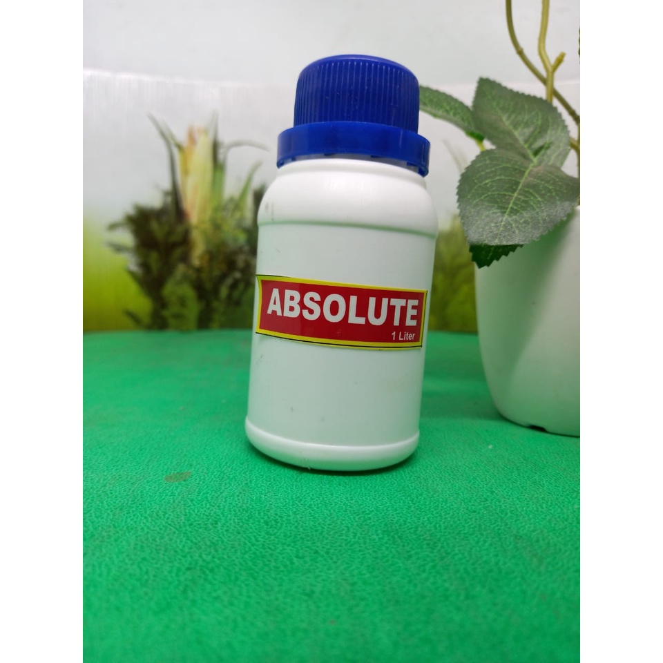 Jual ABSOLUT CAMPURAN PARFUM KEMASAN BOTOL 100 ML | Shopee Indonesia