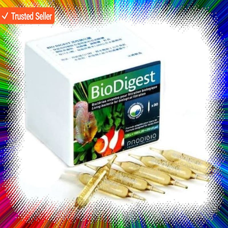 Jual Jual Biodigest Prodibio 1 Vial ampul Living Bacteria Bakteri ...