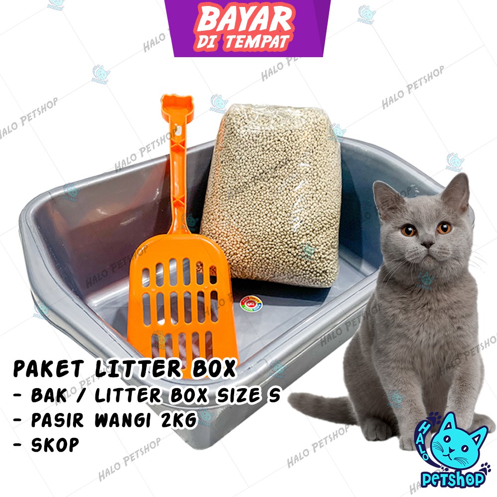 Jual PAKET Cat Litter Box Baskom S Toilet Kucing Pasir Wangi Sekop ...