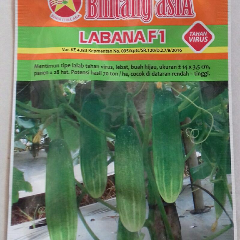 Jual LABANA F1 KEMASAN PABRIK & KEMASAN KECERAN | Shopee Indonesia