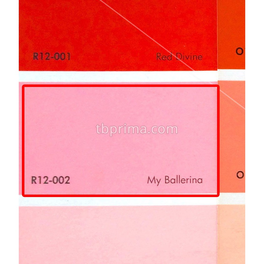 Jual No Drop Tinting R12-002 My Ballerina 4 kg | Shopee Indonesia
