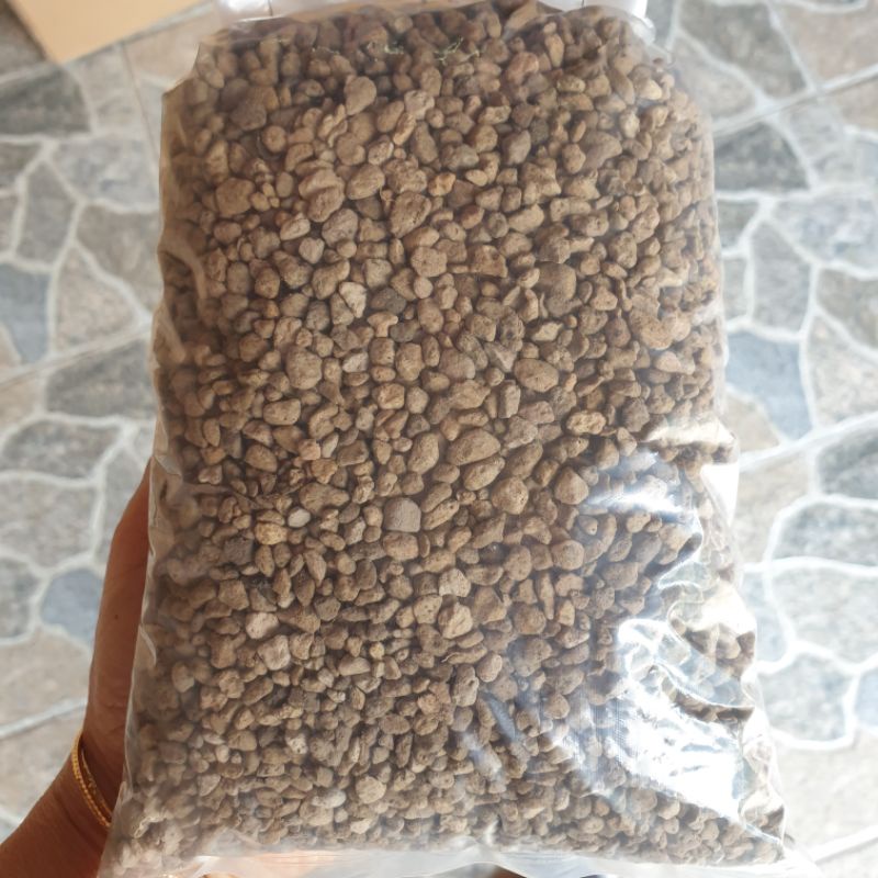 Jual PUMICE STONE BATU APUNG (1 Liter) Media tanam cocok untuk kaktus ...