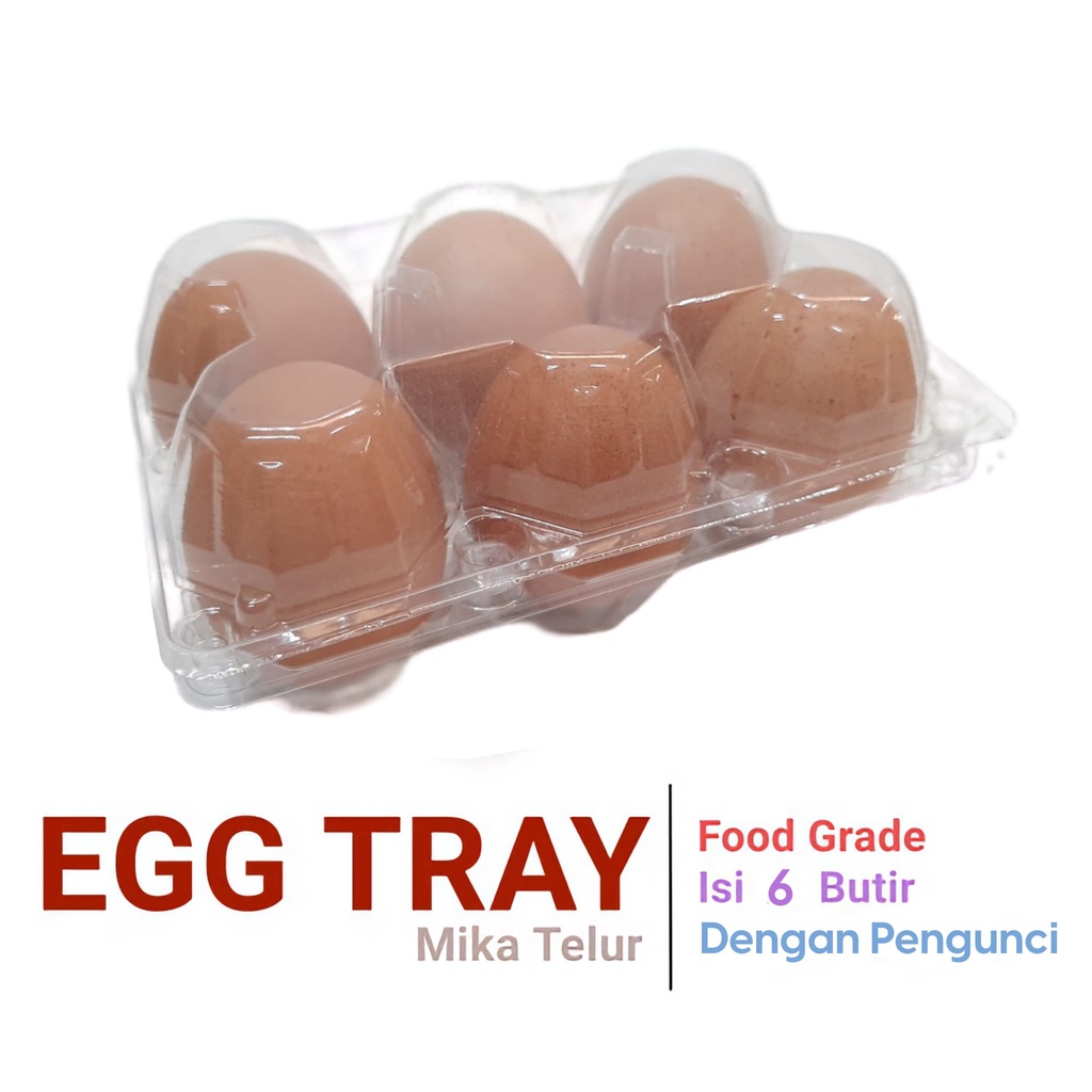 Jual EGG TRAY ISI 6 BUTIR DENGAN PENGUNCI TRAY MIKA TELUR PACK PER ...