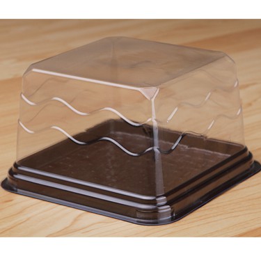 Jual Tray Mika Plastik Tart Kotak (isi 50set) Ukuran 11 x 11 / CT 11 ...