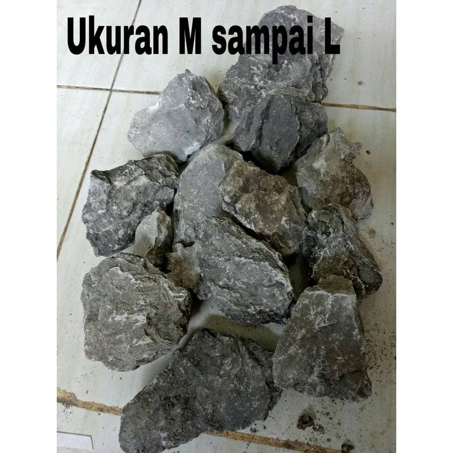 Jual Batu seiryu hardscape untuk aquarium aquascape per KG | Shopee ...