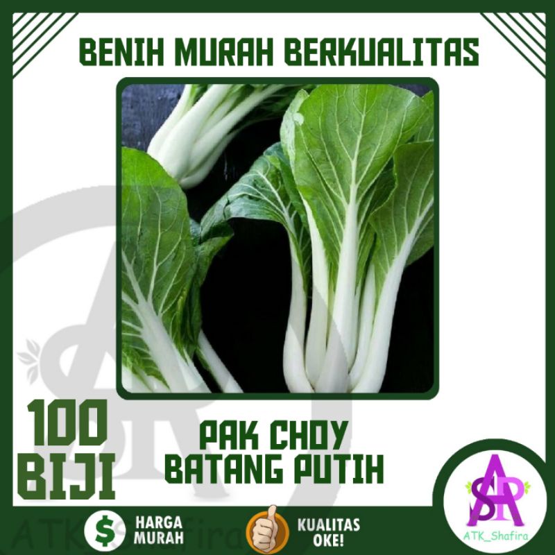 Jual TRIFARM 100 Biji Benih Bibit Pakcoy White Batang Putih Repack ...