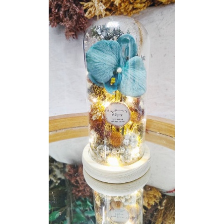 Jual flower dome kado bunga aesthetic kekinian | Shopee Indonesia