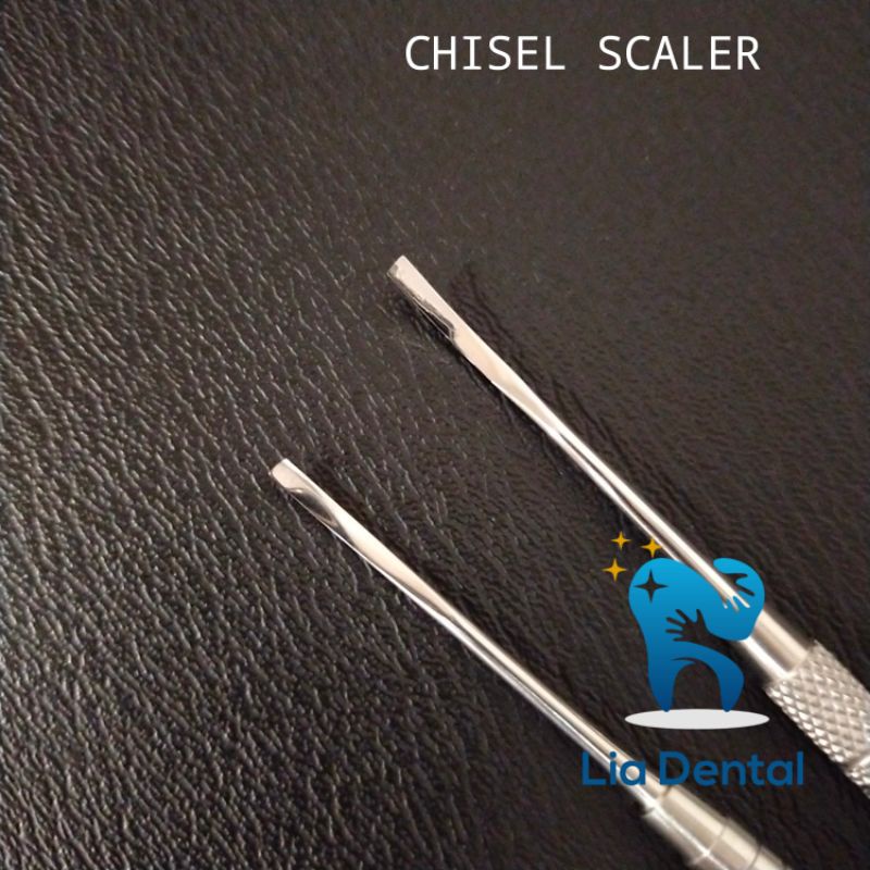 Jual CHISEL SCALER PITH (HARGA UNTUK 1 PC) | Shopee Indonesia