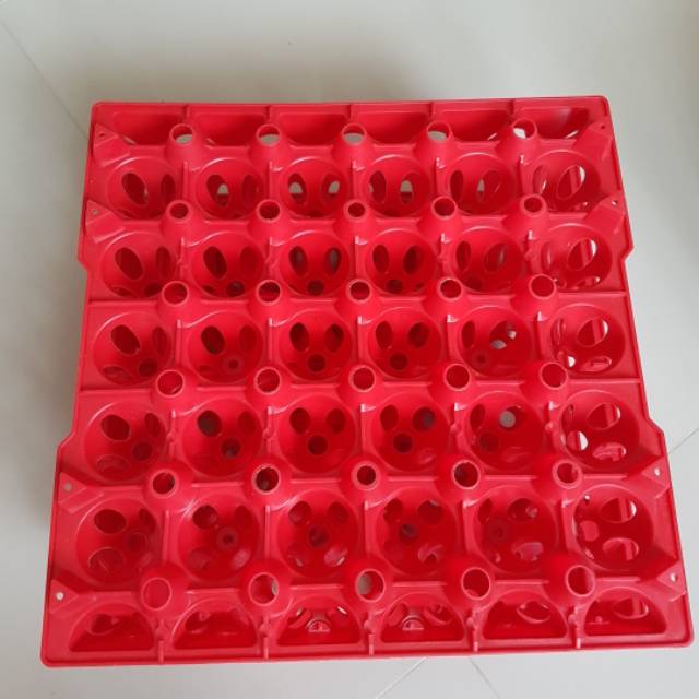 Jual Tray telor / tray telur plastik / tempat telor / tempat telur ...