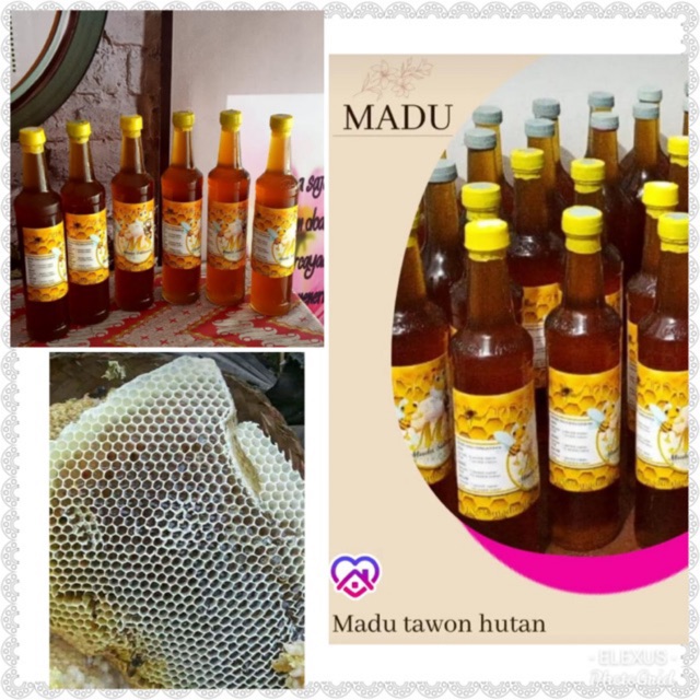 Jual Madu Sulawesi (Madu Hutan - Kuning) | Shopee Indonesia