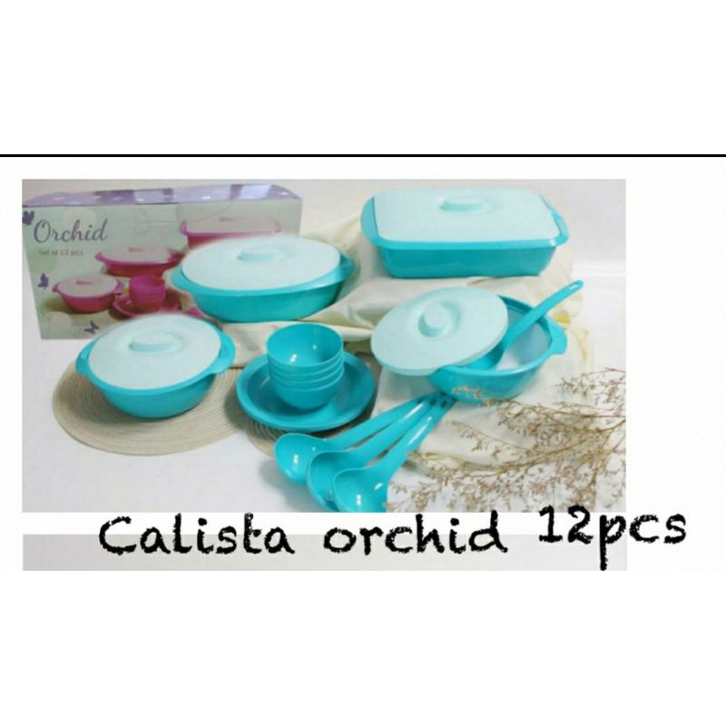 Jual calista orchid 12 pcs | Shopee Indonesia