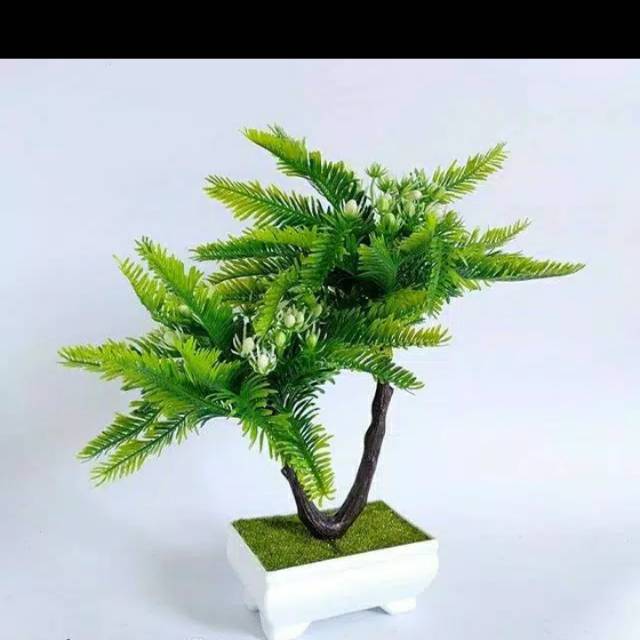 Jual Bonsai palem artificial tanaman hias tiruan unik | Shopee Indonesia