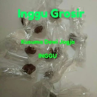 Jual getah inggu Harga Terbaik & Termurah Februari 2026 | Shopee Indonesia