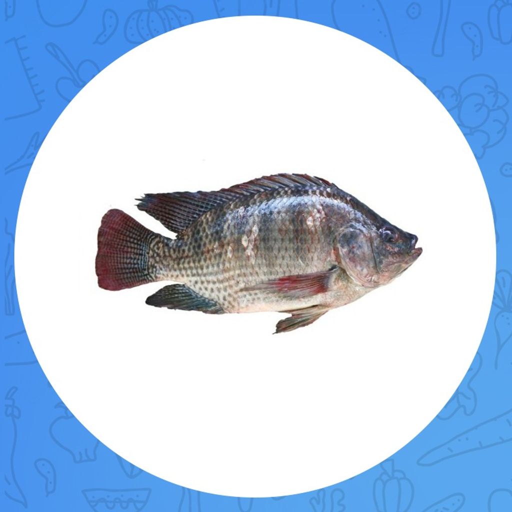 Jual MUJAER 1000gr | Shopee Indonesia