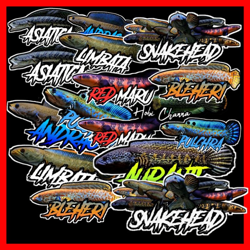 Jual 48 pcs stiker ikan channa perator | Shopee Indonesia
