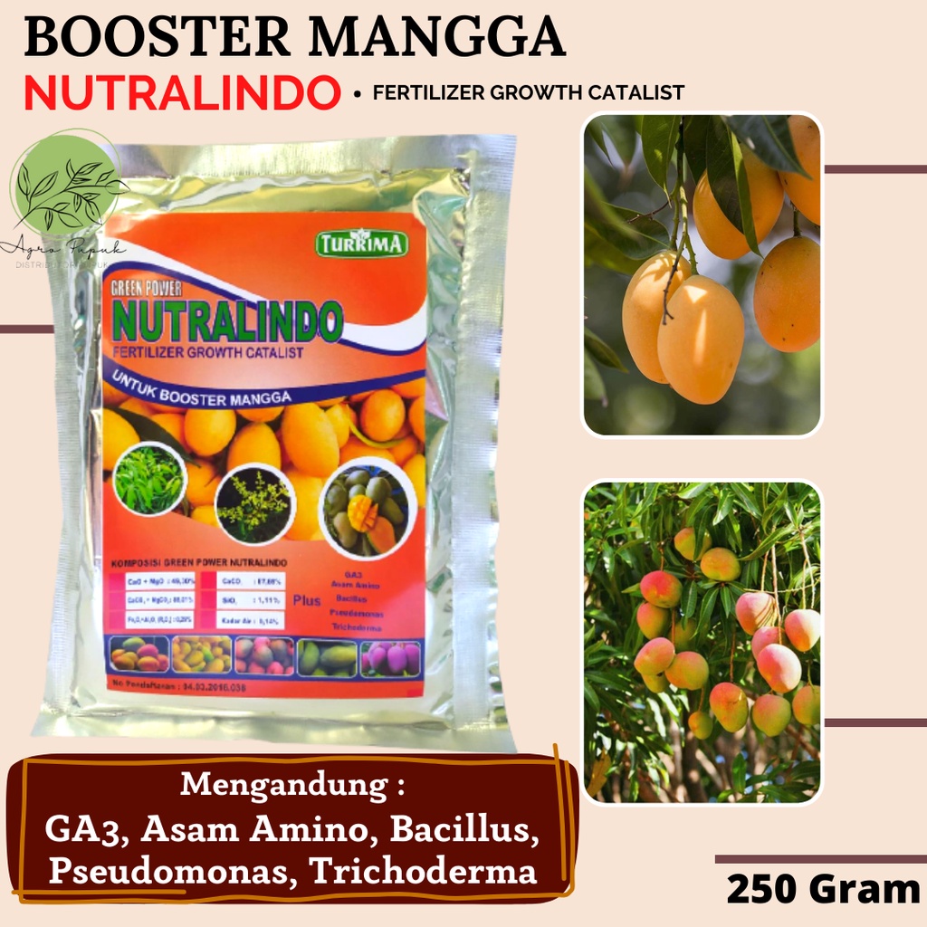 Jual Pupuk Organik Booster Mangga, Booster Mangga Diluar Musim, Pupuk ...