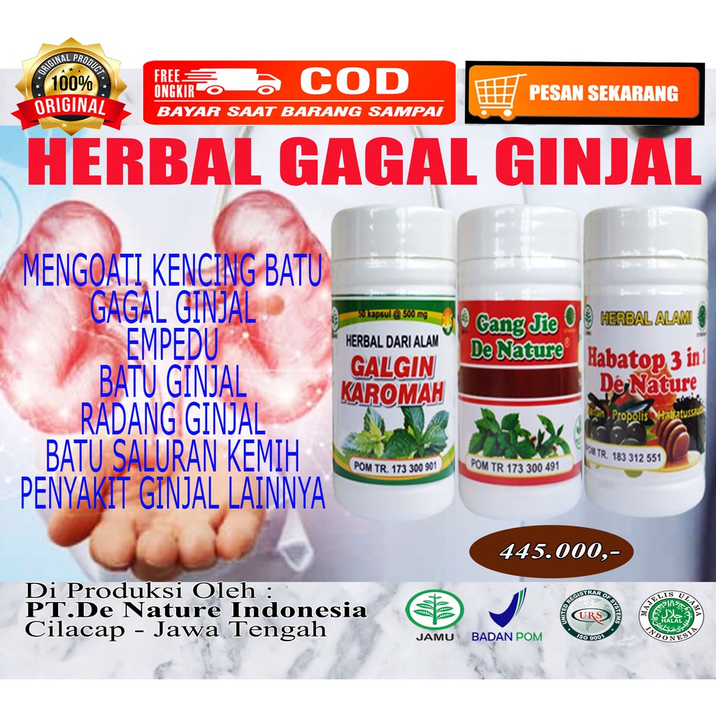 Jual Obat batu ginjal-obat penghancur batu ginjal-obat radang ginjal-obat peluruh batu di ...