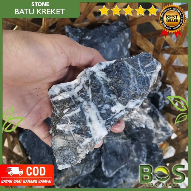 Jual BATU KREKET HITAM BATU SEIRYU LOKAL AQUASCAPE 1/2 KG | Shopee ...
