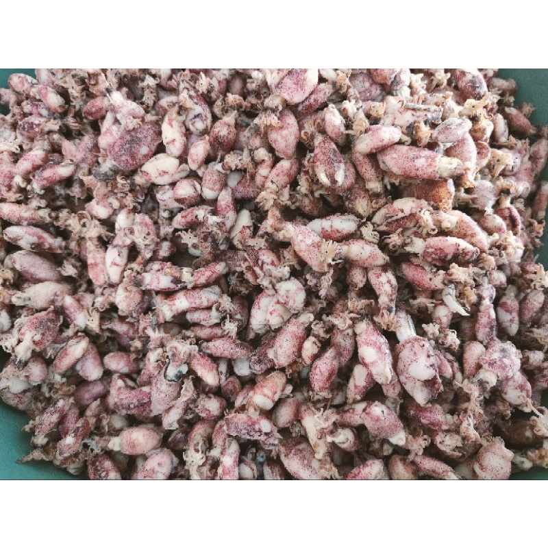 Jual BABY CUMI 100 GR | Shopee Indonesia