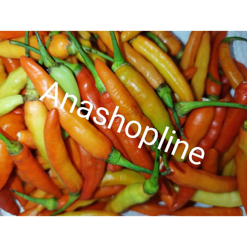 Jual Cabai rawit / chili / cabe / lombok / sayur | Shopee Indonesia