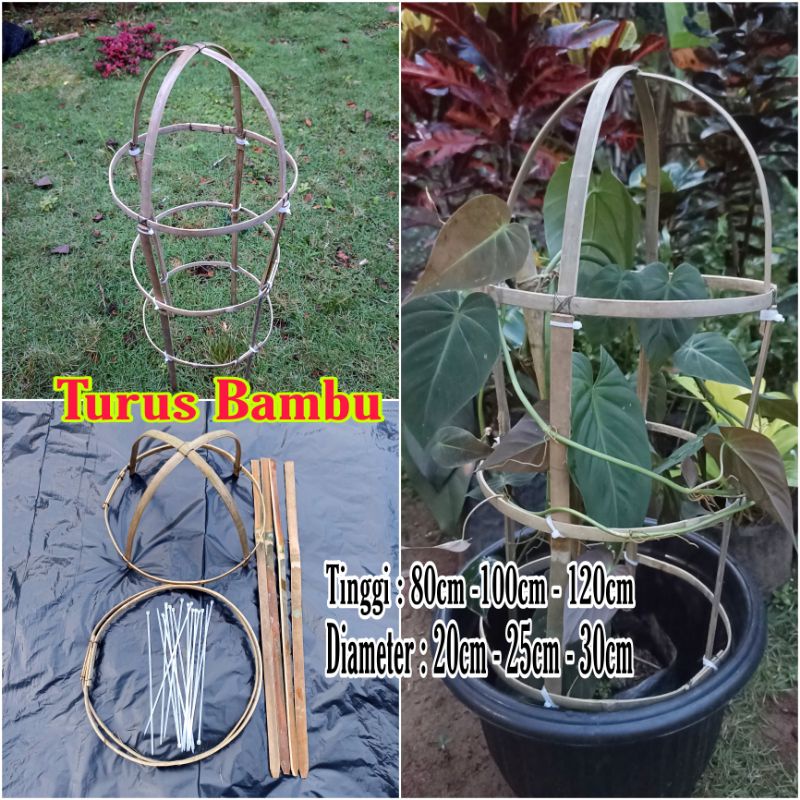 Jual Turus Bambu Melingkar/Bracket Bambu (1 Set) Turus Bambu Kurungan ...