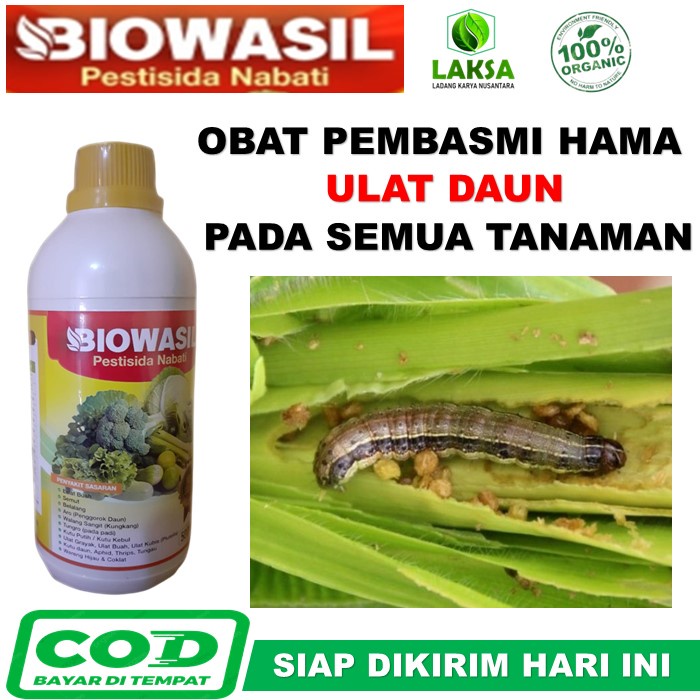 Jual Pestisida Biowasil 500 ML obat Semprot Hama Tanaman - Obat Semprot Hama Ulat Buah Paling ...