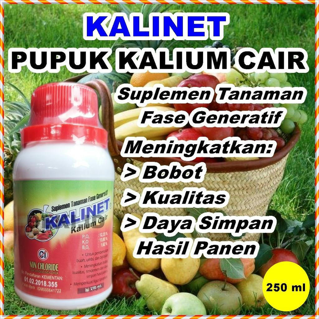 Jual Kalinet 250 ml Kemasan Kecil Pupuk Kalium Cair Pembuahan Generatif ...