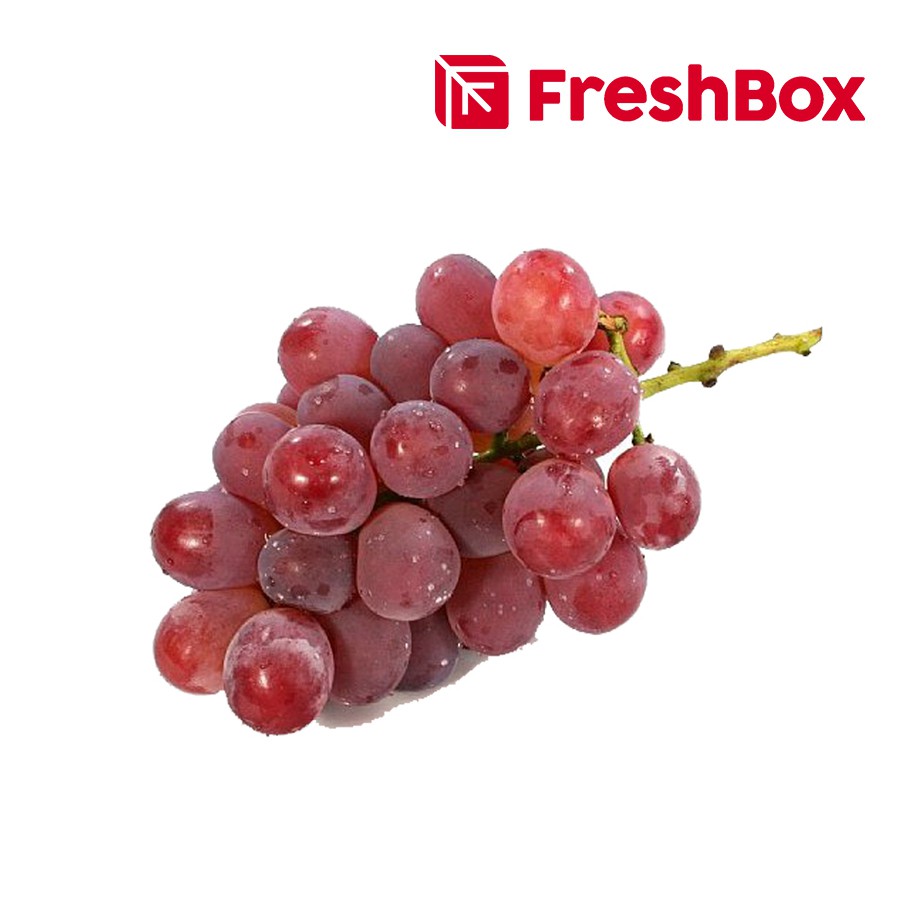 Jual Anggur Red Globe 500 gr Premium FreshBox | Shopee Indonesia