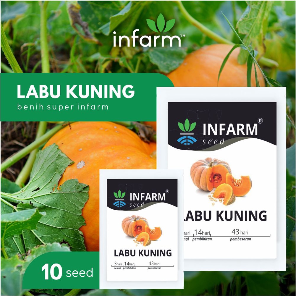Jual INFARM - Benih Bibit Biji Super Labu Kuning | Shopee Indonesia