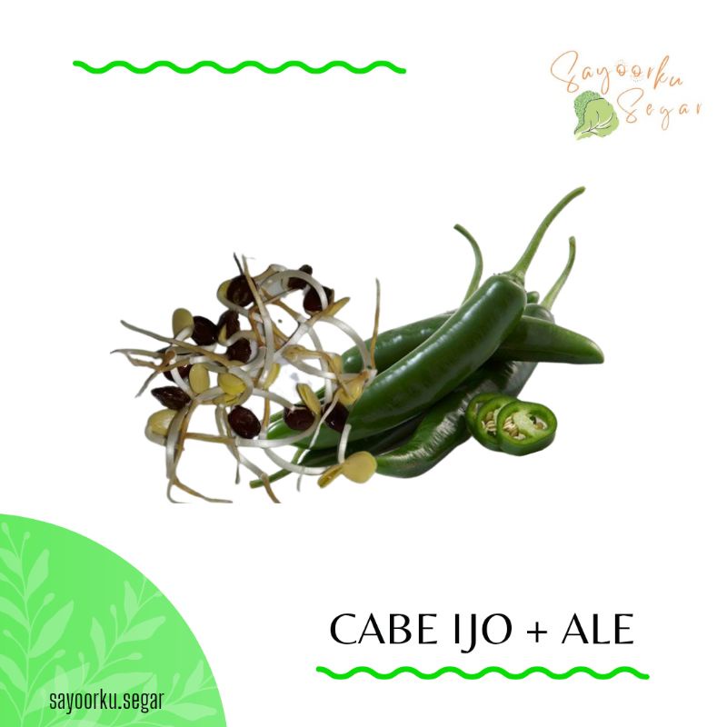 Jual KIRIM BESOK Cabe hijau ale / cabe ijo ale / lombok ale / toge ale ...