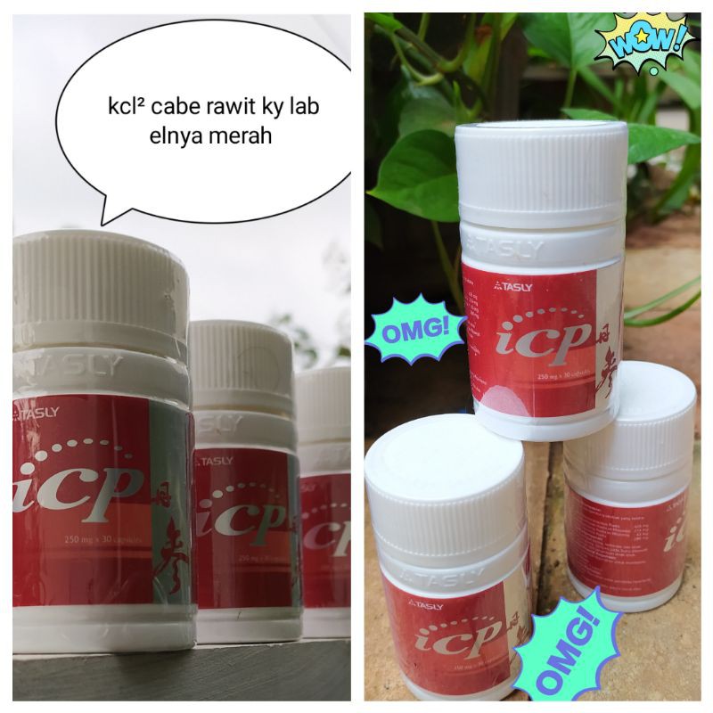Jual ICP obat herbal jantung stroke diabet | Shopee Indonesia