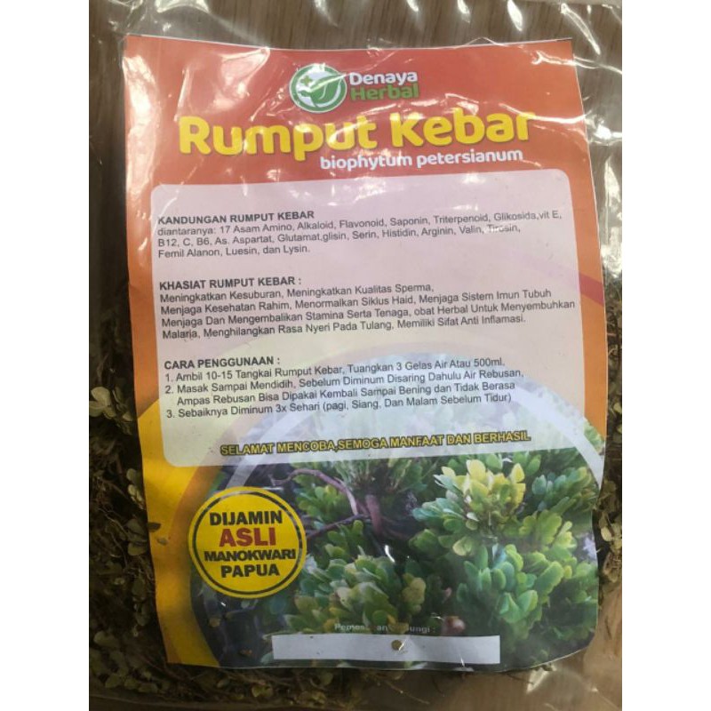 Jual OBAT HERBAL RUMPUT KEBAR ASLI PAPUA | Shopee Indonesia