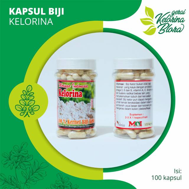 Jual Kapsul Serbuk Kernel Biji Kelor Isi 100 - Royal Moringa Organik ...