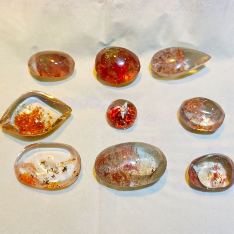 Jual BATU PHANTOM KECUBUNG KARANG | Shopee Indonesia