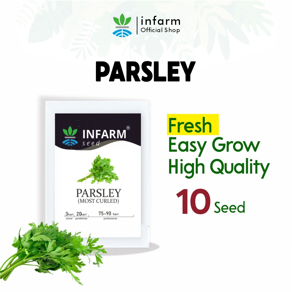 Jual INFARM - Benih Bibit Biji Super Daun Parsley (Most Curled ...
